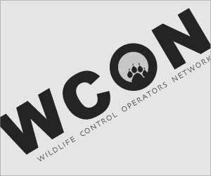 Curtis Smeltzer Graphic Design – Website Design that is Local & Affordable